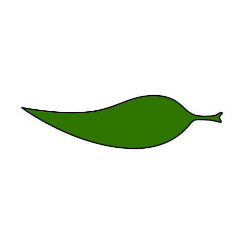 NEEM TREE | Biophilia